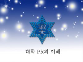 대학 PR의 이해 -1페이지