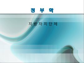 [정부학] 지방자치 단체 - 강남구-1페이지