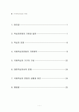 국제적십자운동-1페이지