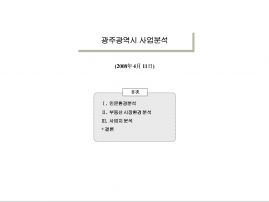 광주광역시 사업분석 (2008年 4月 11日)-1페이지