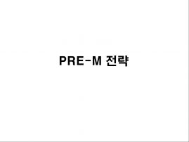 PRE-M 전략-1페이지