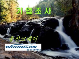 기업조사 웅진코웨이-1페이지