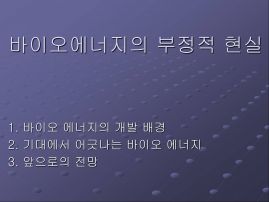 바이오에너지의 부정적 현실-1페이지