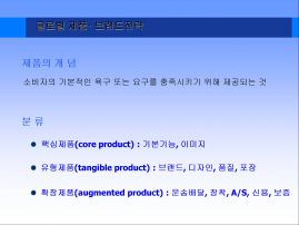 글로벌 제품· 브랜드전략-1페이지