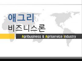 애그리 비즈니스론 (Agribusiness & Agriservice Industry) - 농산물의 국제경쟁력과 애그리비즈니스-1페이지