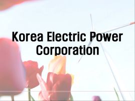 Korea Electric Power Corporation (한국전력공사) - 한국 전력소개, 해외진출 사례분석-1페이지