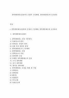 경력개발제도(CDP)의 운영과 구성체계, 경력개발제도와 승진관리-1페이지