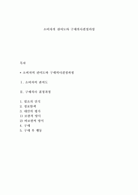 소비자의 관여도와 구매의사결정과정-1페이지