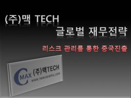 (주)맥 TECH 글로벌 재무전략-1페이지