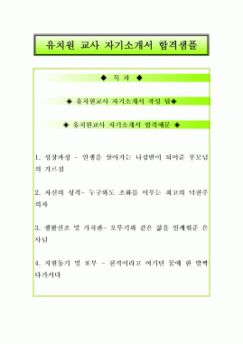 [2016년최신]유치원교사자기소개서작성방법및합격예문[유아원교사자기소개서 잘쓰는 노하우 및 합격샘플][유치원&유아원&어린이집교사 자기소개서]-1페이지