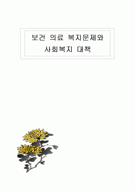 보건 의료복지문제와 사회복지 대책-1페이지