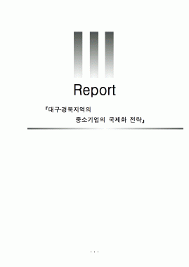 대구·경북지역의 중소기업의 국제화 전략-1페이지