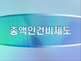 총액인건비제도-1페이지