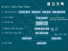 광고기획 - 매체전략, 소비자, 제품, 시장, 경쟁 상황 분석,시장 세분화-1페이지