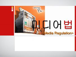 미디어법 (Media Regulation)-1페이지