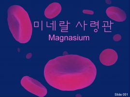 마그네슘(Magnasium) -미네랄 사령관-1페이지