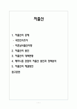 저출산의 문제와 원인 대책현황과 페미니즘 관점의 저출산 원인과 정책분석 해결방안-1페이지