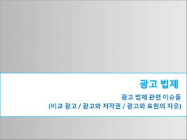 광고 법제_광고 법제 관련 이슈들(비교 광고 / 광고와 저작권 / 광고와 표현의 자유) -1페이지