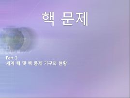 핵문제 세계 핵 보유국 현황 및 핵 통제 기구 현황-1페이지