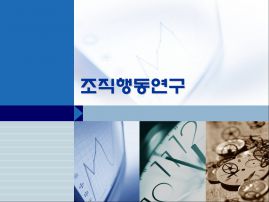 [사회과학] 조직행동연구-1페이지