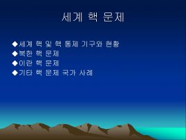 세계 핵 문제-1페이지