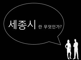 세종시란 무엇인가?-1페이지