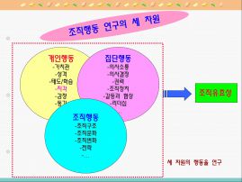 [사회과학] 조직행동 연구의 세 차원-1페이지