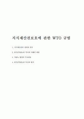 지식재산권보호에 관한 WTO 규범-1페이지