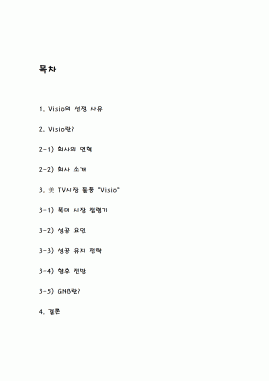 Visio (북미 TV 판매 회사)-1페이지