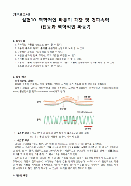 10장_예비보고서-1페이지