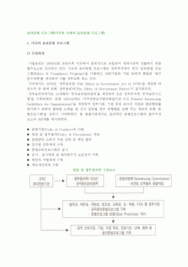 윤리준법 프로그램(미국과 국내의 윤리준법 프로그램)-1페이지