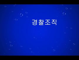 경찰조직의 개선방향-1페이지