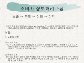 소비자 정보처리과정-1페이지