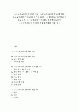 소규모학교(작은학교)의 개념, 소규모학교(작은학교) 원인, 소규모학교(작은학교) 특기적성교육, 소규모학교(작은학교) 협동교육, 소규모학교(작은학교) 수준별교육과정, 소규모학교(작은학교) 수업정보화와 제언-1페이지