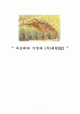 아프리카 시장과 (주)대원GSI-1페이지