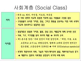 사회계층 (Social Class)-1페이지