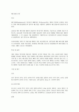 배드민턴 규칙 역사 특성 및 효과 -1페이지