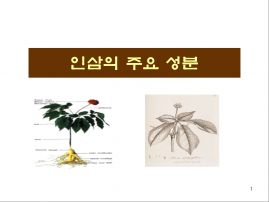 인삼의 주요 성분-1페이지