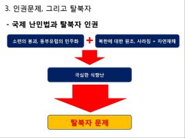 [북한인권]인권문제 그리고 탈북자-1페이지