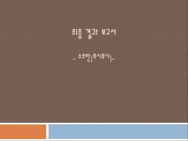 C++에 대한 이해, 최종 결과 보고서 - 소코반(푸시푸시)--1페이지