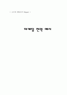 마케팅 전략 예시-1페이지