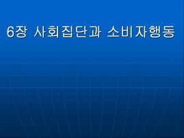 사회집단과 소비자행동-1페이지