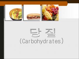 당질 (Carbohydrates)에 대해-1페이지