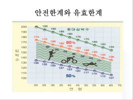 처방 - 안전한계와 유효한계-1페이지