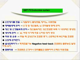 내분비계와 신경계-1페이지