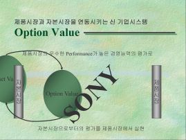 제품시장과 자본시장을 연동시키는 신 기업시스템 Option Value-1페이지