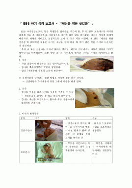 EBS 아기 성장 보고서 세상을 위한 첫걸음-1페이지