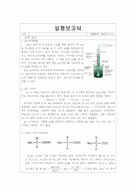 실험보고서-1페이지