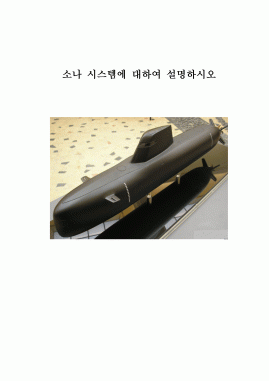 소나 시스템-1페이지