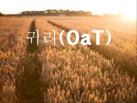 귀리(oat)-1페이지